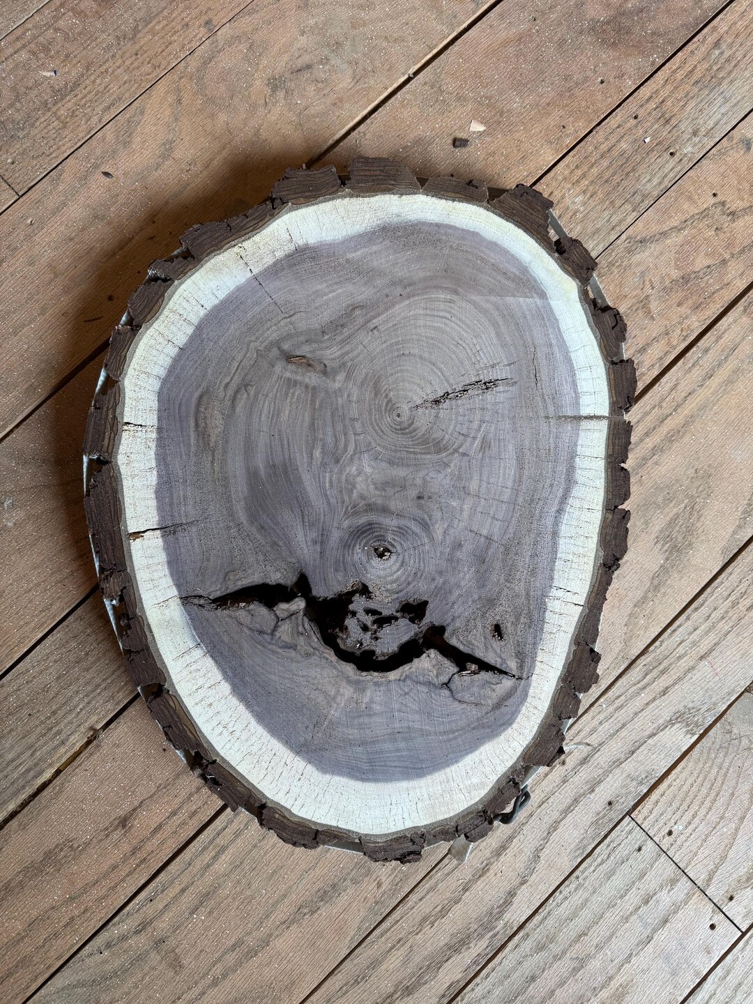 Live Edge Walnut Cookie - Etsy