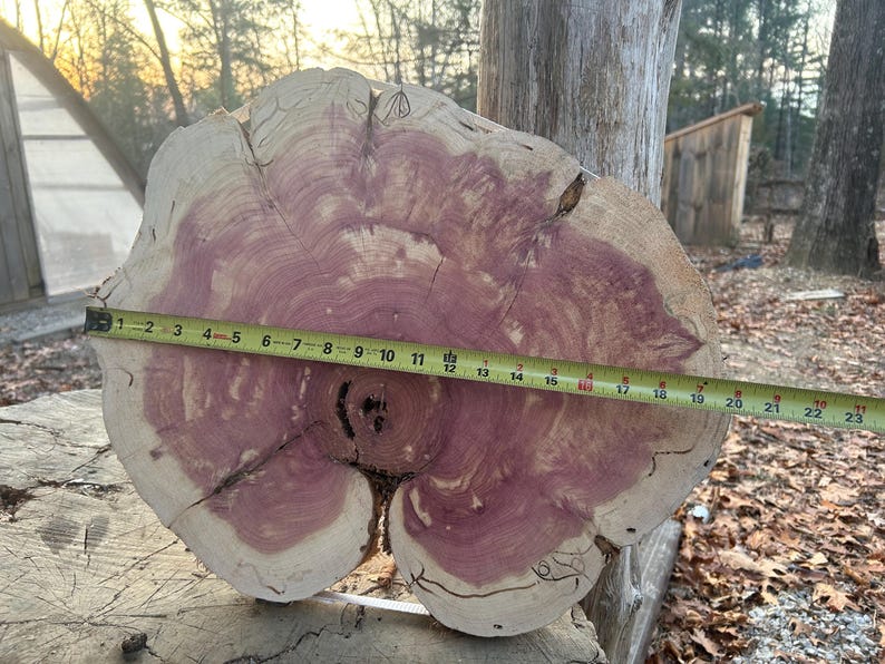 Large Live Edge Red Cedar Cookie - Etsy