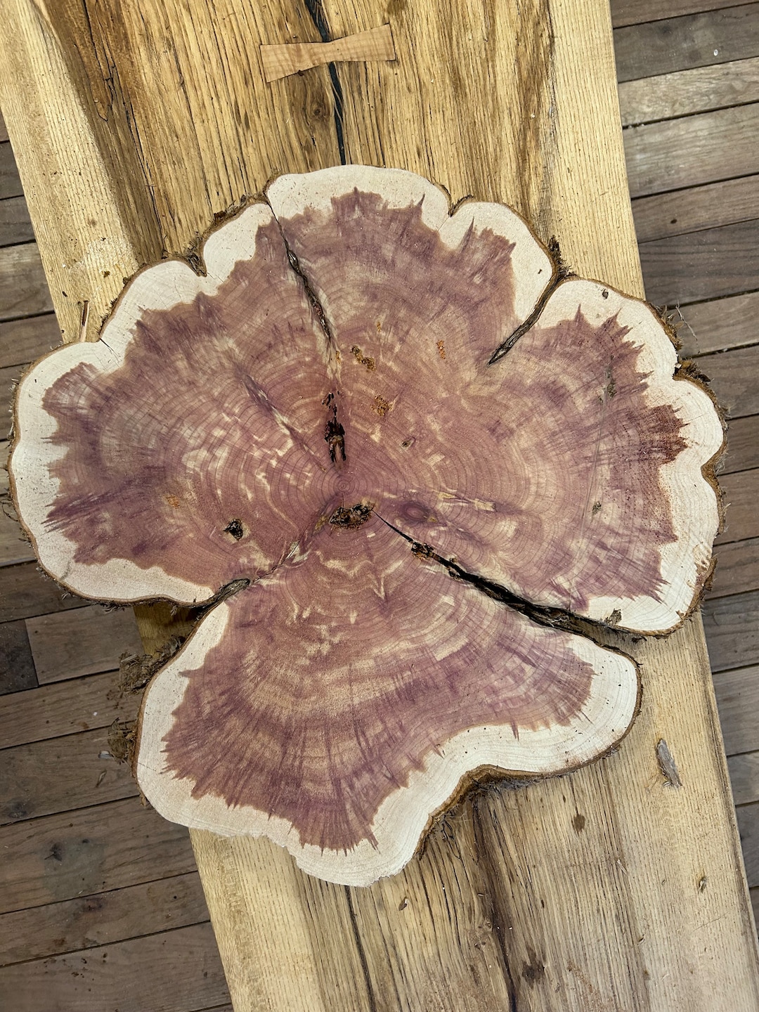 Large Live Edge Red Cedar Cookie - Etsy