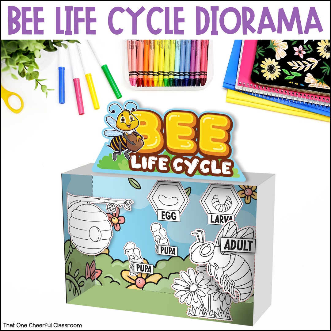 Life Cycle of a Bee 3D Diorama Science Project Pop up Craft Activity - Etsy