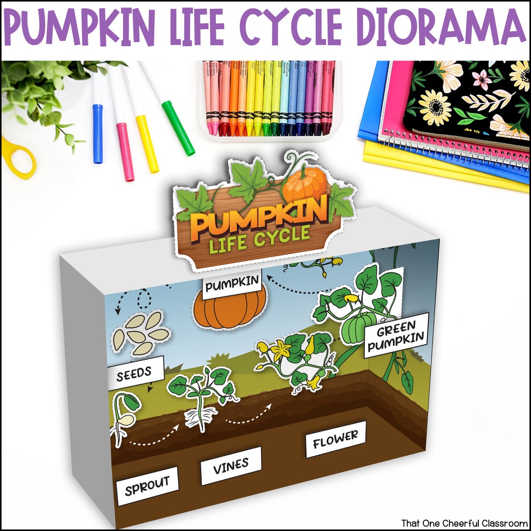 Life Cycle of a Pumpkin 3D Diorama Science Project Pop up Craft ...