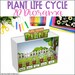 Plant Life Cycle Cut and Paste 3D Diorama Science Project Pop up Craft ...