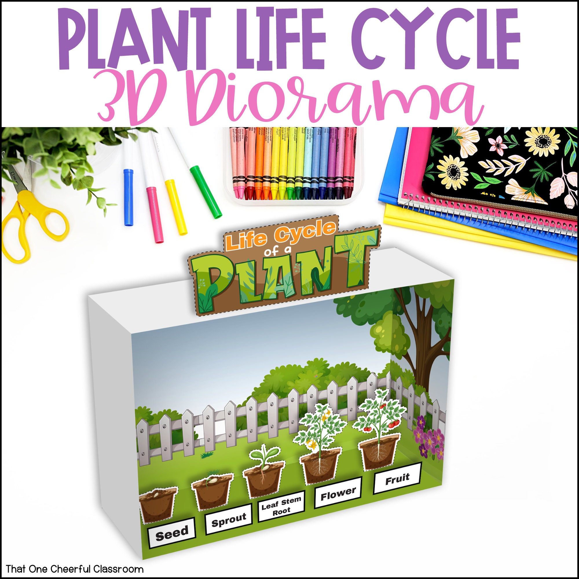 Plant Life Cycle Cut and Paste 3D Diorama Science Project Pop up Craft ...