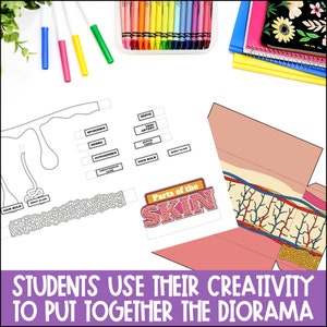 Parts of the Human Skin 3D Diorama Science Project Pop up Craft ...