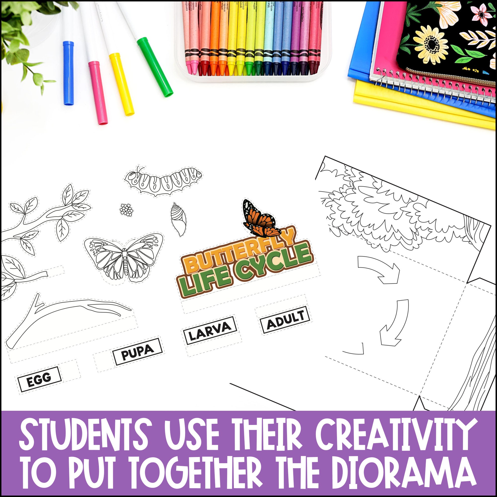 Butterfly Life Cycle Cut and Paste 3D Diorama Science Project Craft ...