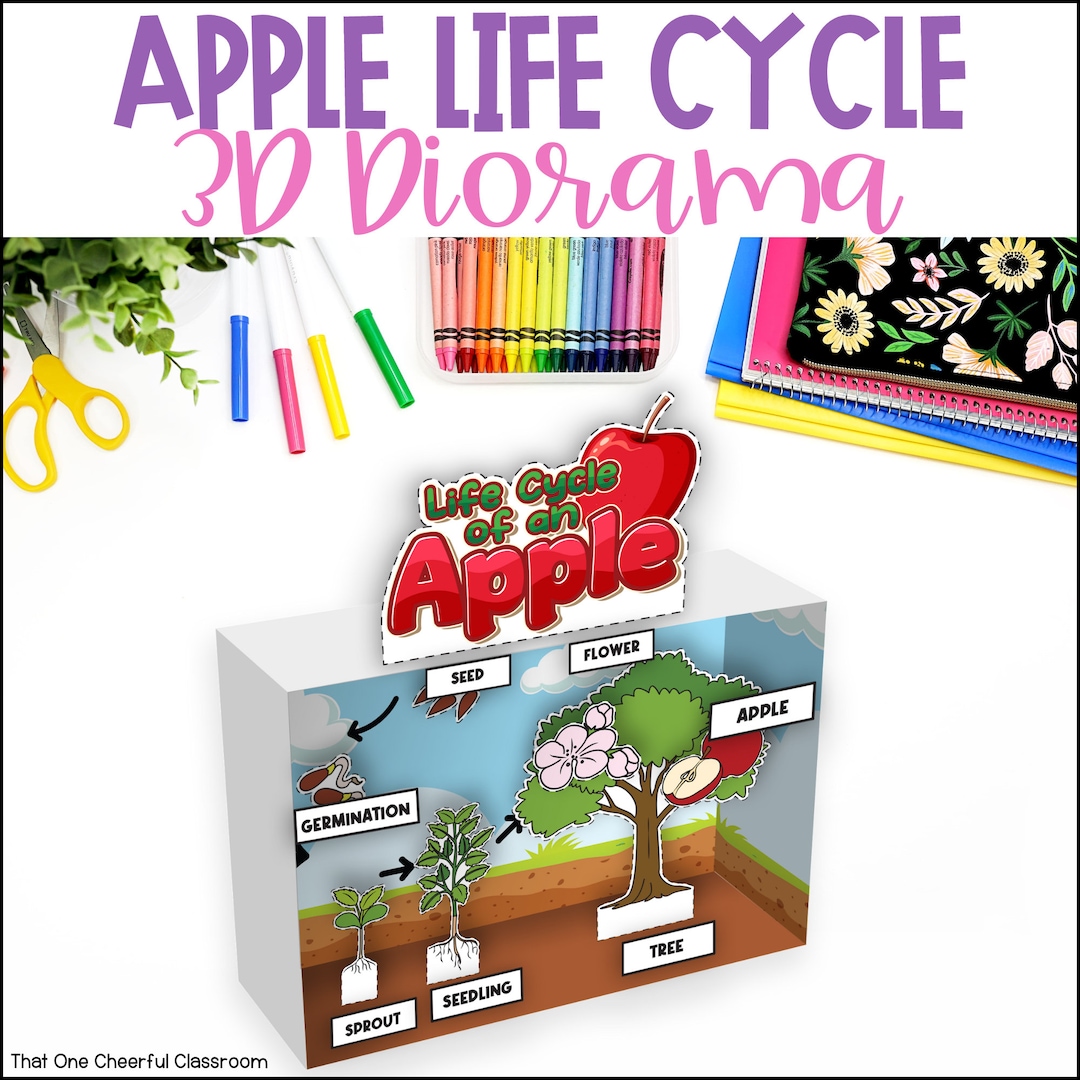 Apple Life Cycle Cut and Paste 3D Diorama Science Project Pop up Craft ...