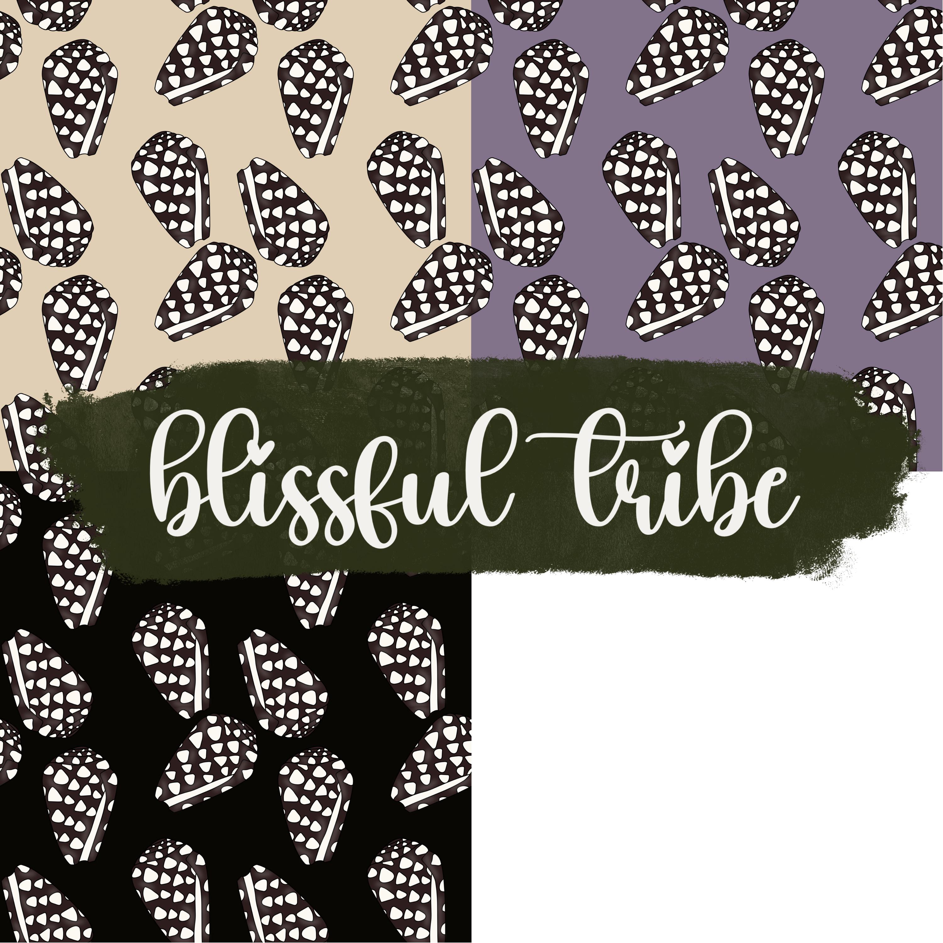 Hebrew Cone Shell Png - Beach Shells Png- Shell Png- Digital Download ...