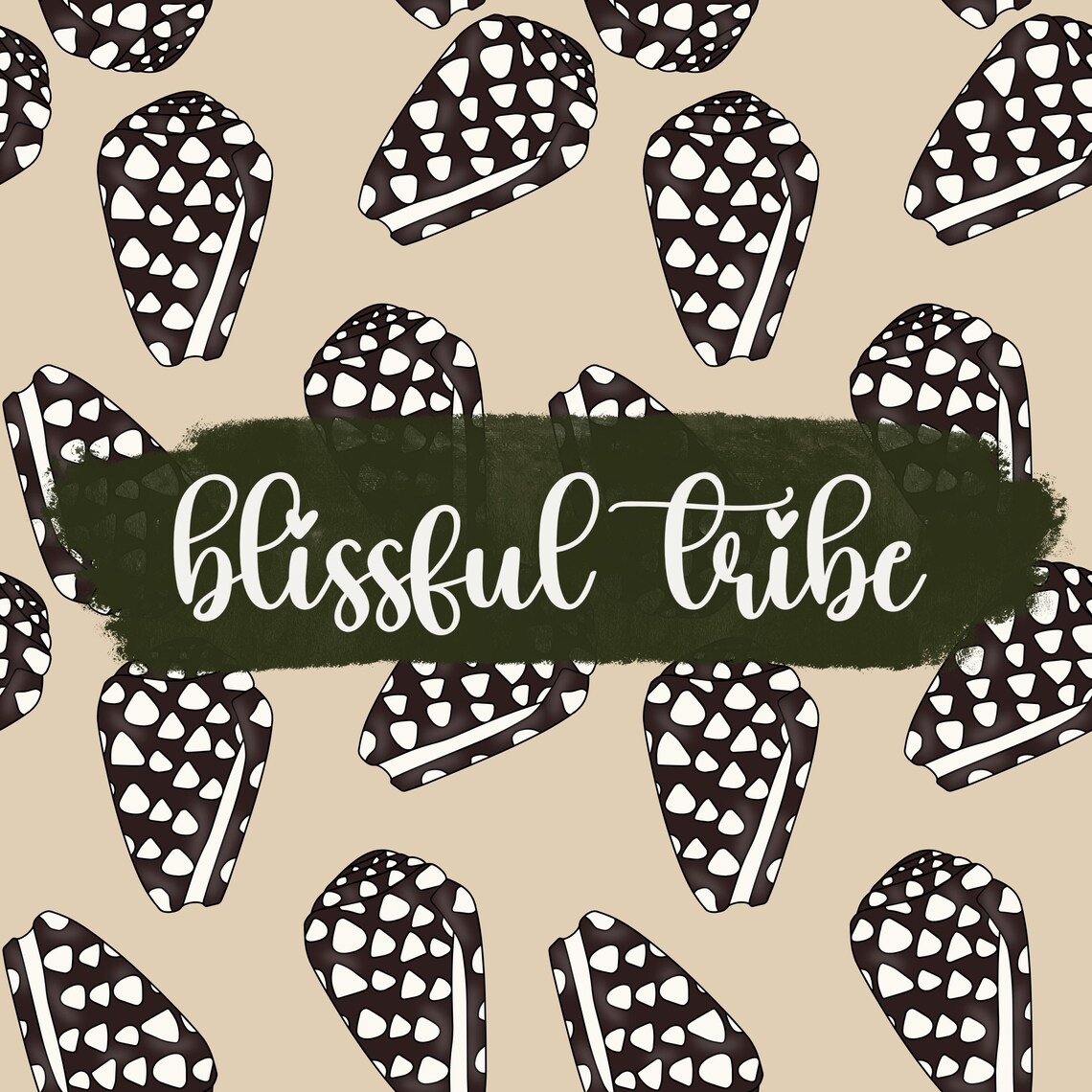 Hebrew Cone Shell Png - Beach Shells Png- Shell Png- Digital Download ...