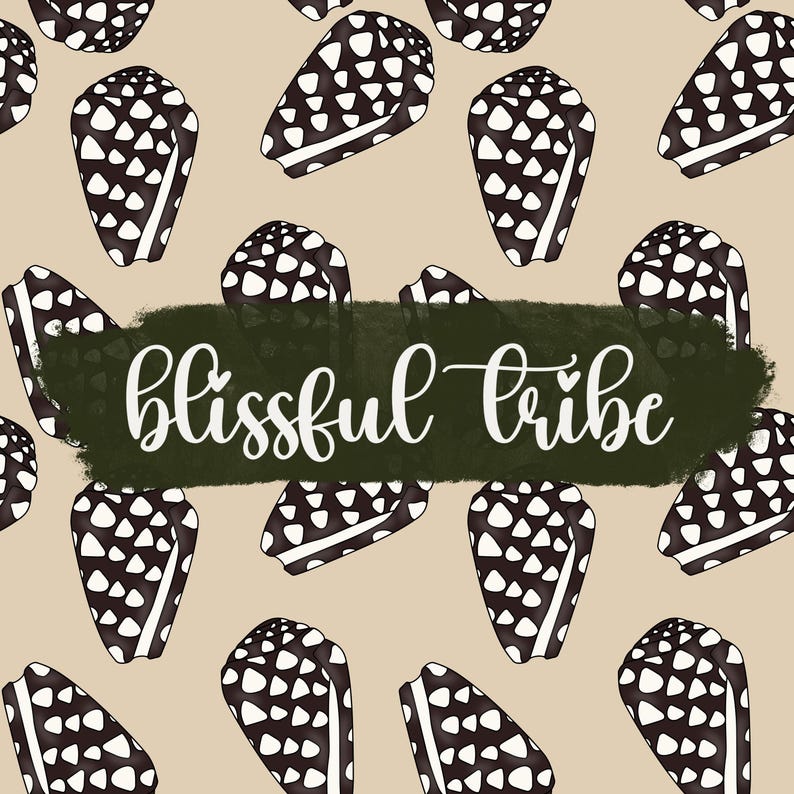 Hebrew Cone Shell Png - Beach Shells Png- Shell Png- Digital Download ...