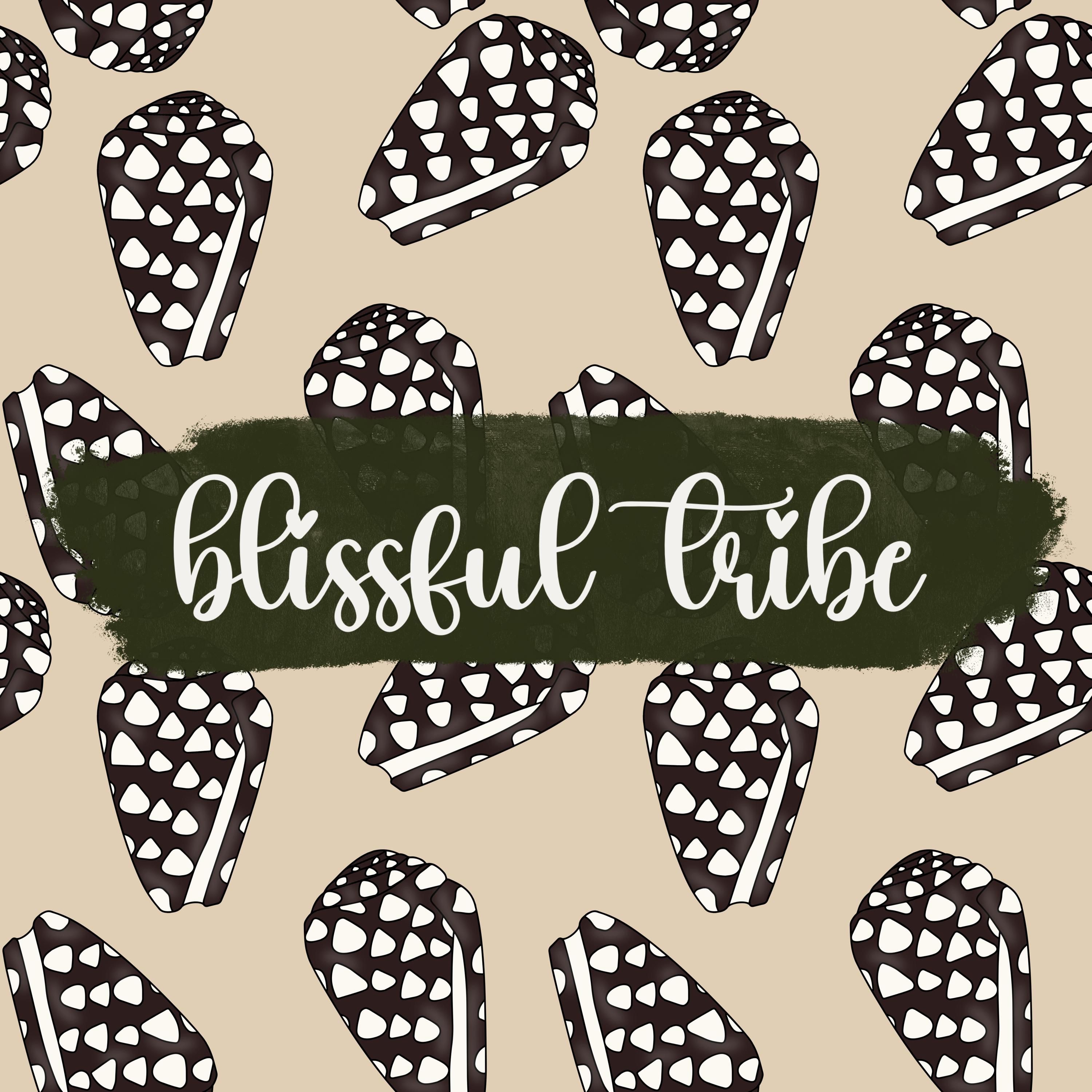 Hebrew Cone Shell Png - Beach Shells Png- Shell Png- Digital Download ...