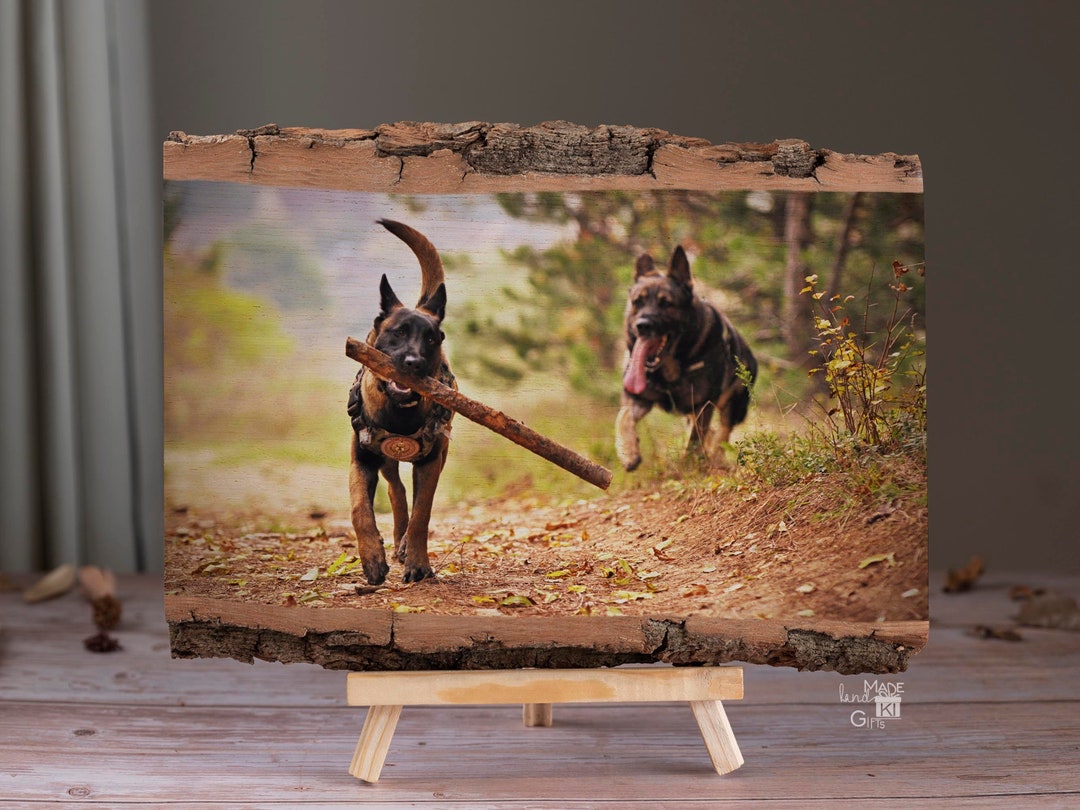 Personalized Pet Portrait, Pet Photo Engraved on Wood, Hunting Dog ...
