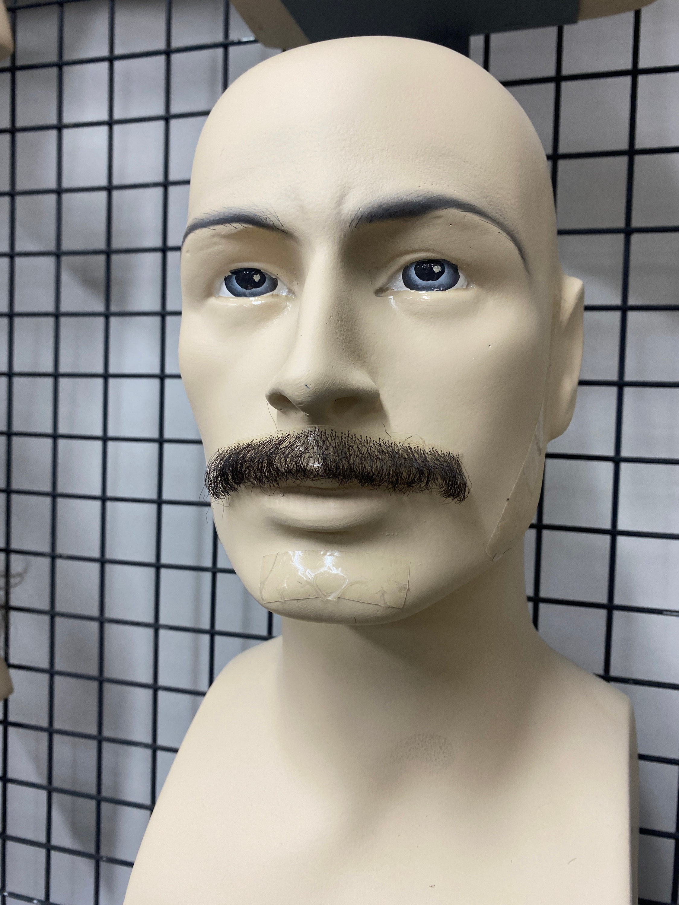 Peter Fitzwell's Instagram, Twitter & Facebook on IDCrawl