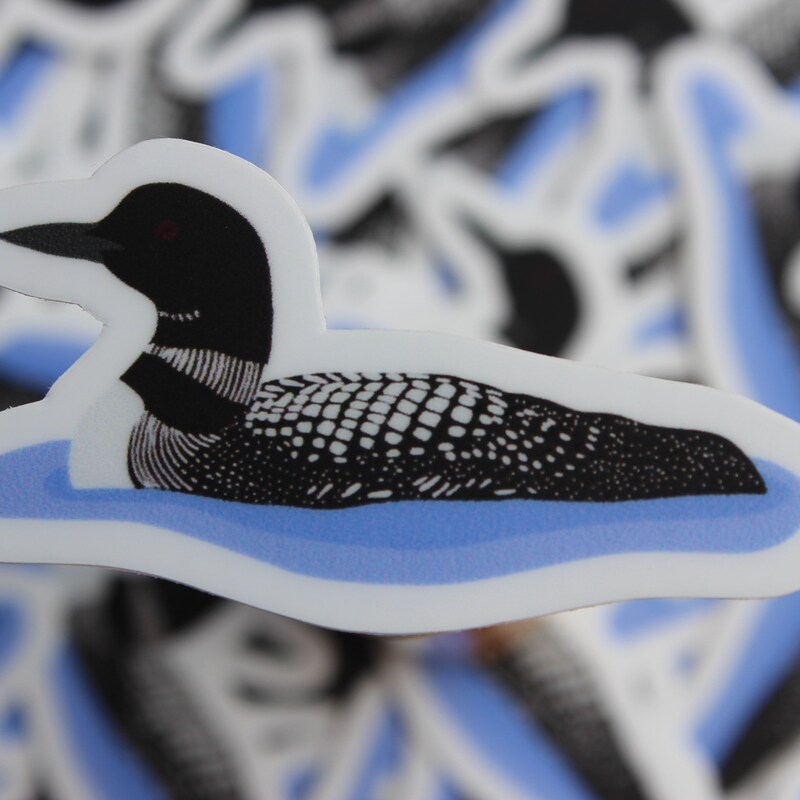 Common Loon - Etsy