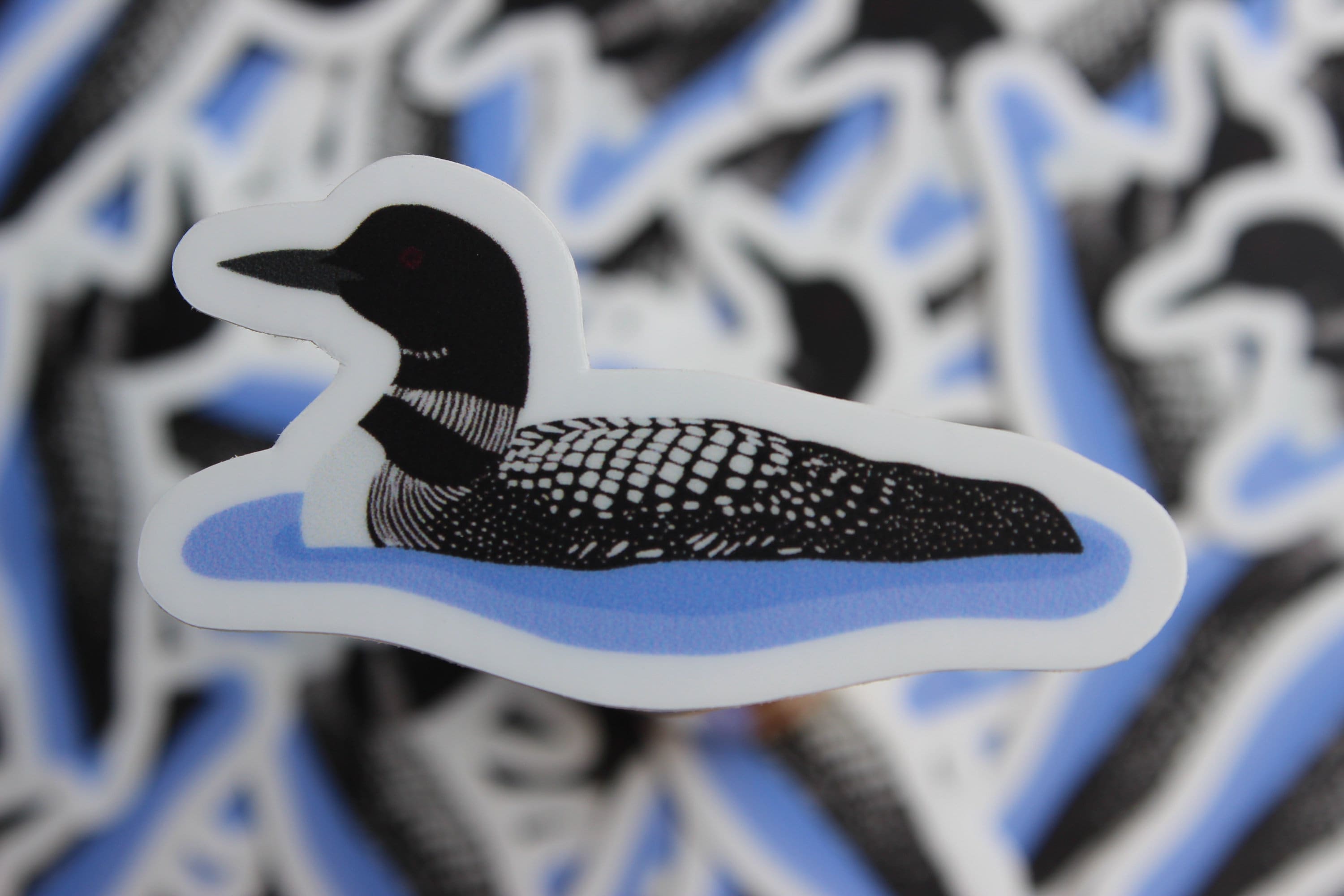 Loon Sticker, Common Loon Car Decal, Vinyl Sticker, Nature Sticker ...