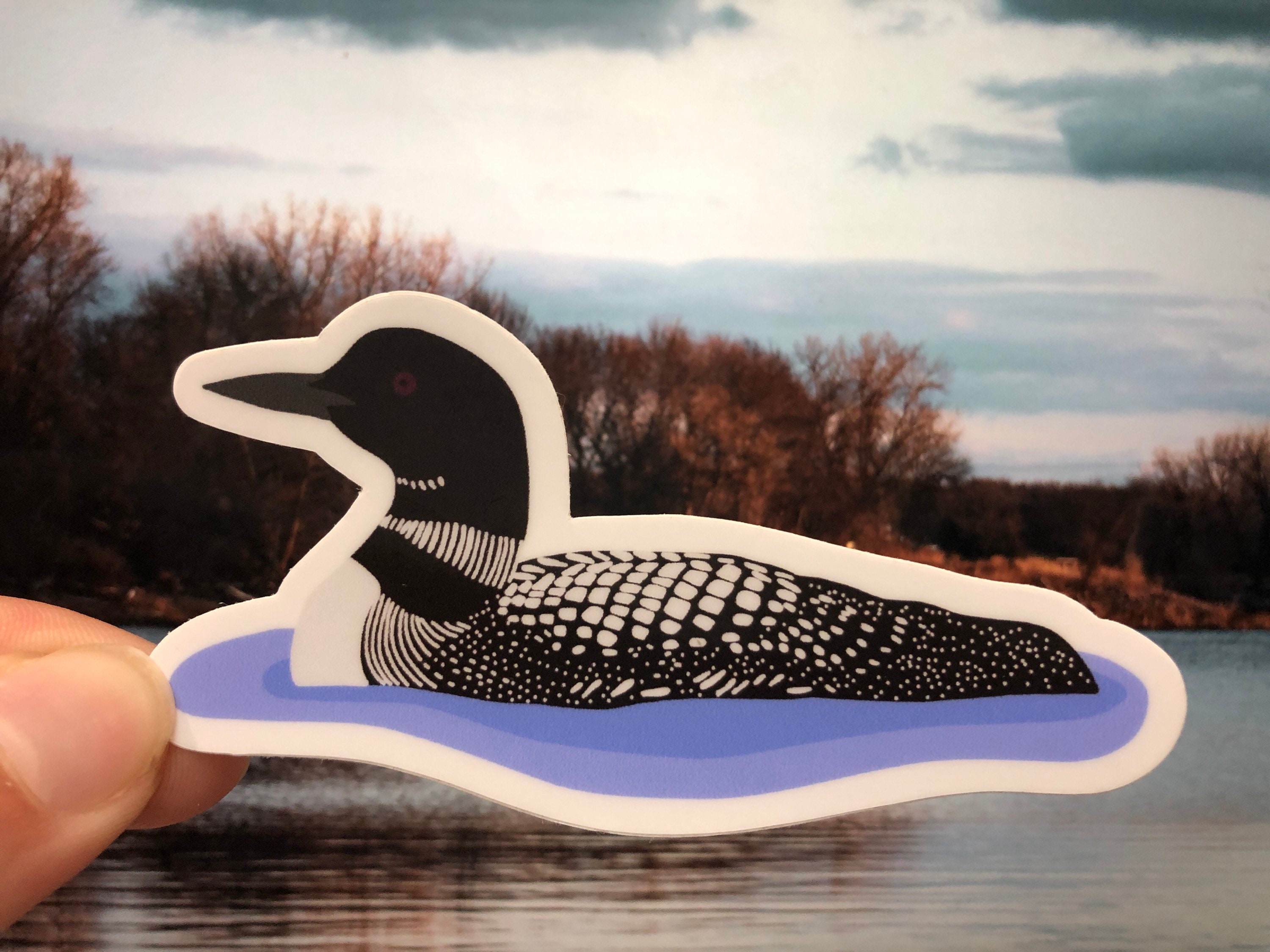 Loon Sticker, Common Loon Car Decal, Vinyl Sticker, Nature Sticker ...