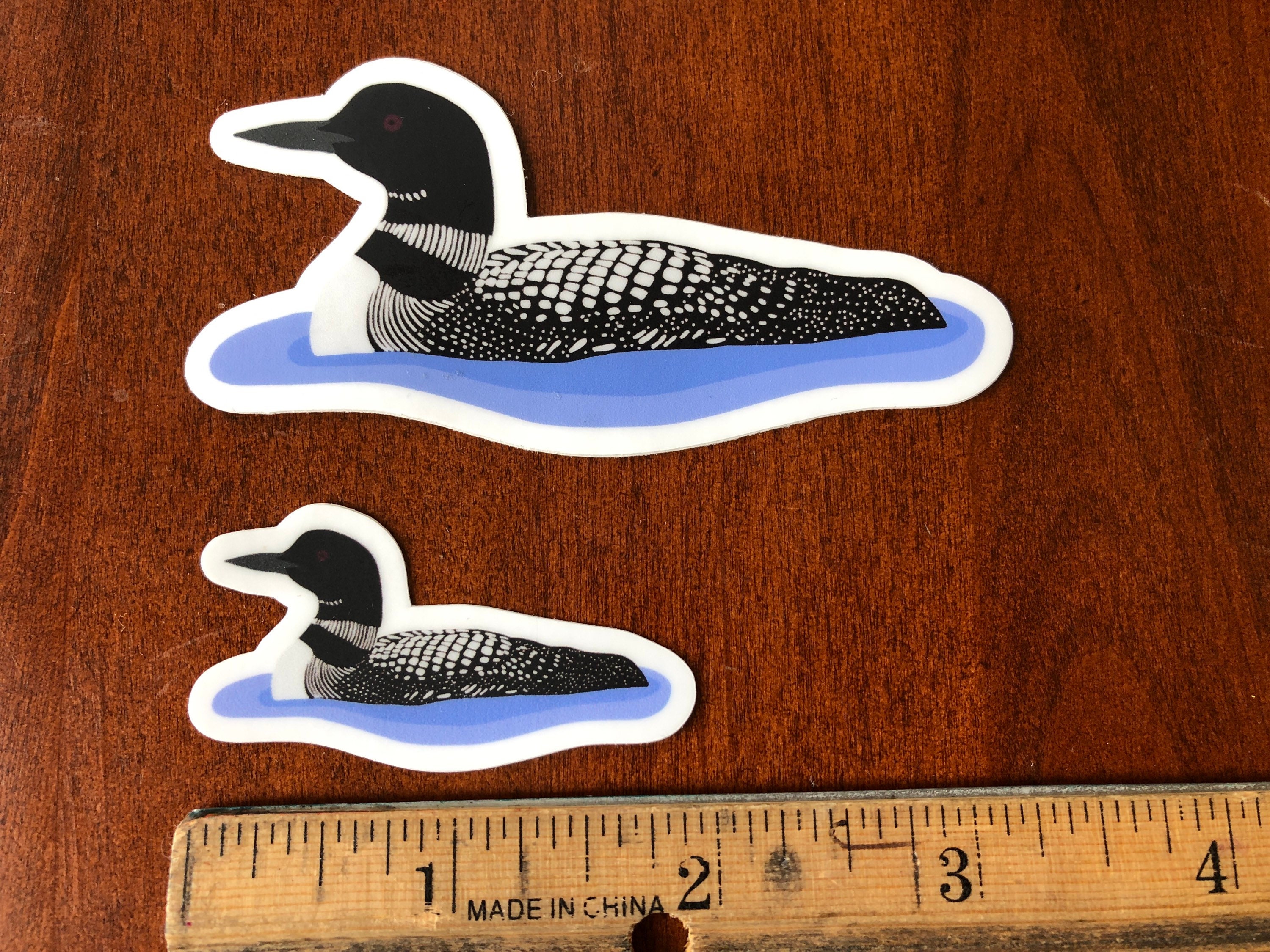 Loon Sticker, Common Loon Car Decal, Vinyl Sticker, Nature Sticker ...