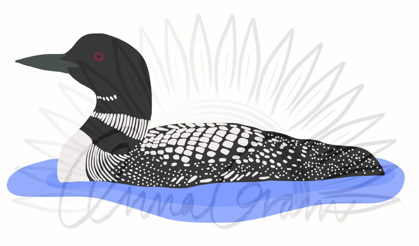 Loon Sticker, Common Loon Car Decal, Vinyl Sticker, Nature Sticker ...