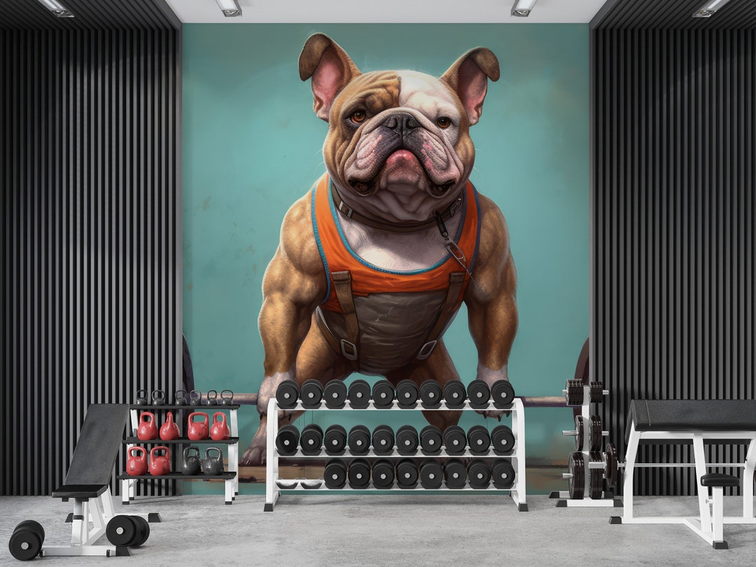 Dogs Wallpaper, Dog Wallpaper Mural, Body Builder Dog Wallpaper for ...