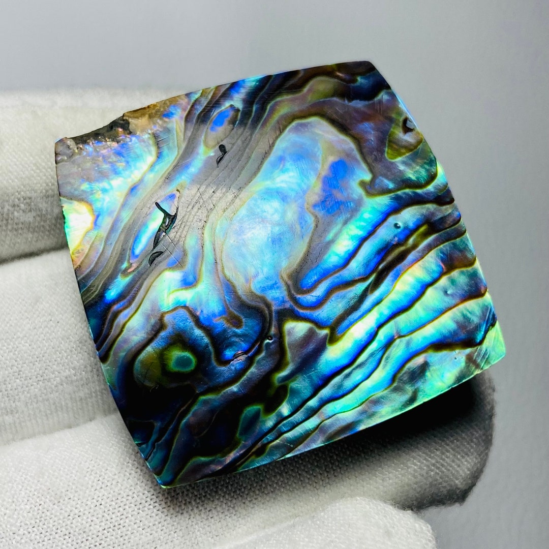Abalone Shell, Natural Abalone Shell ,loose Stone, Hand Made Gemstone ...