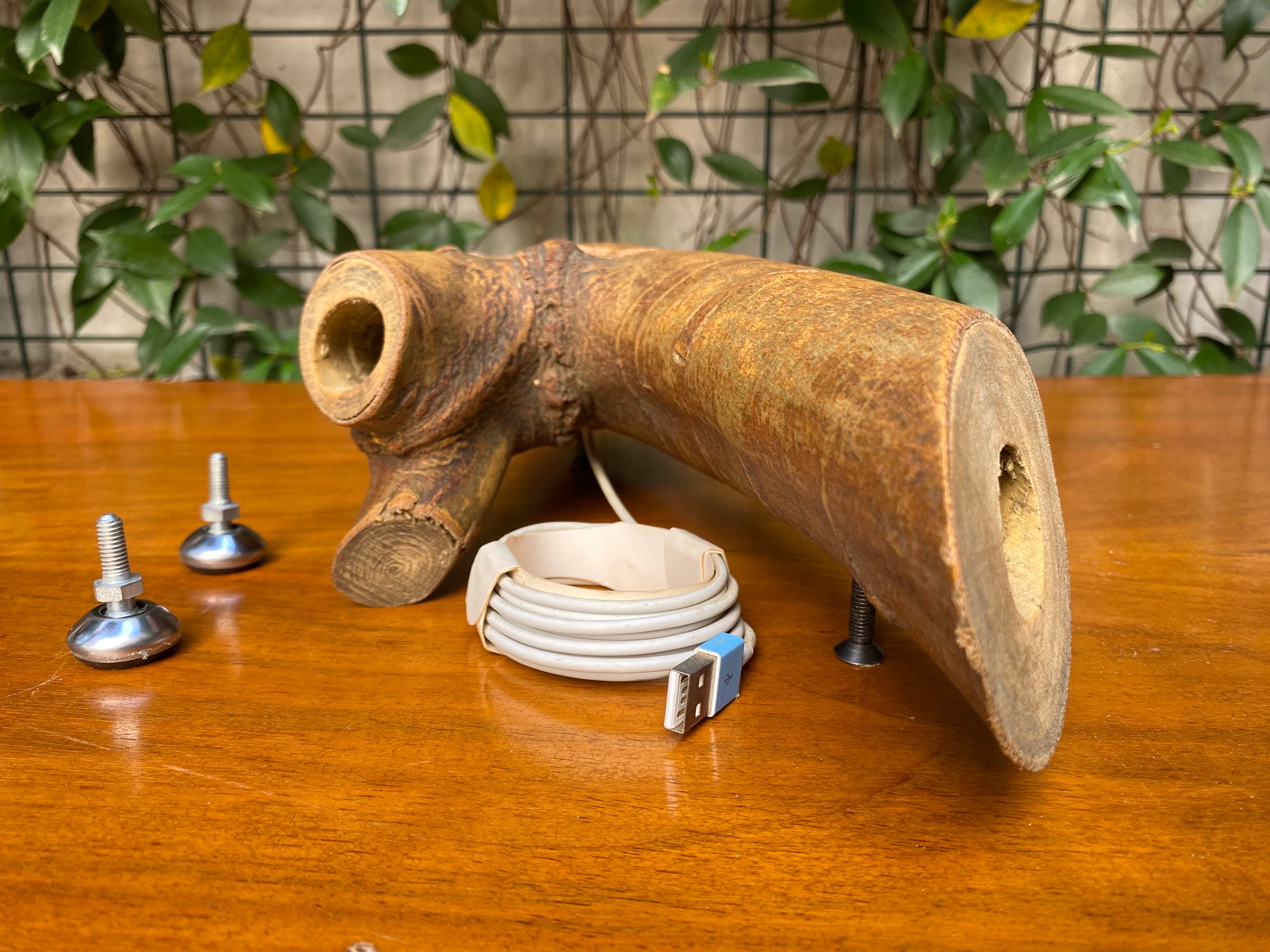 Acoustic Speaker, Wooden Natural Speaker, Lightning, Desktop Charger ...