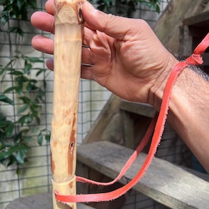 Handcrafted Dogwood Walking Stick: Natural Cranberry Wood Cane - Etsy