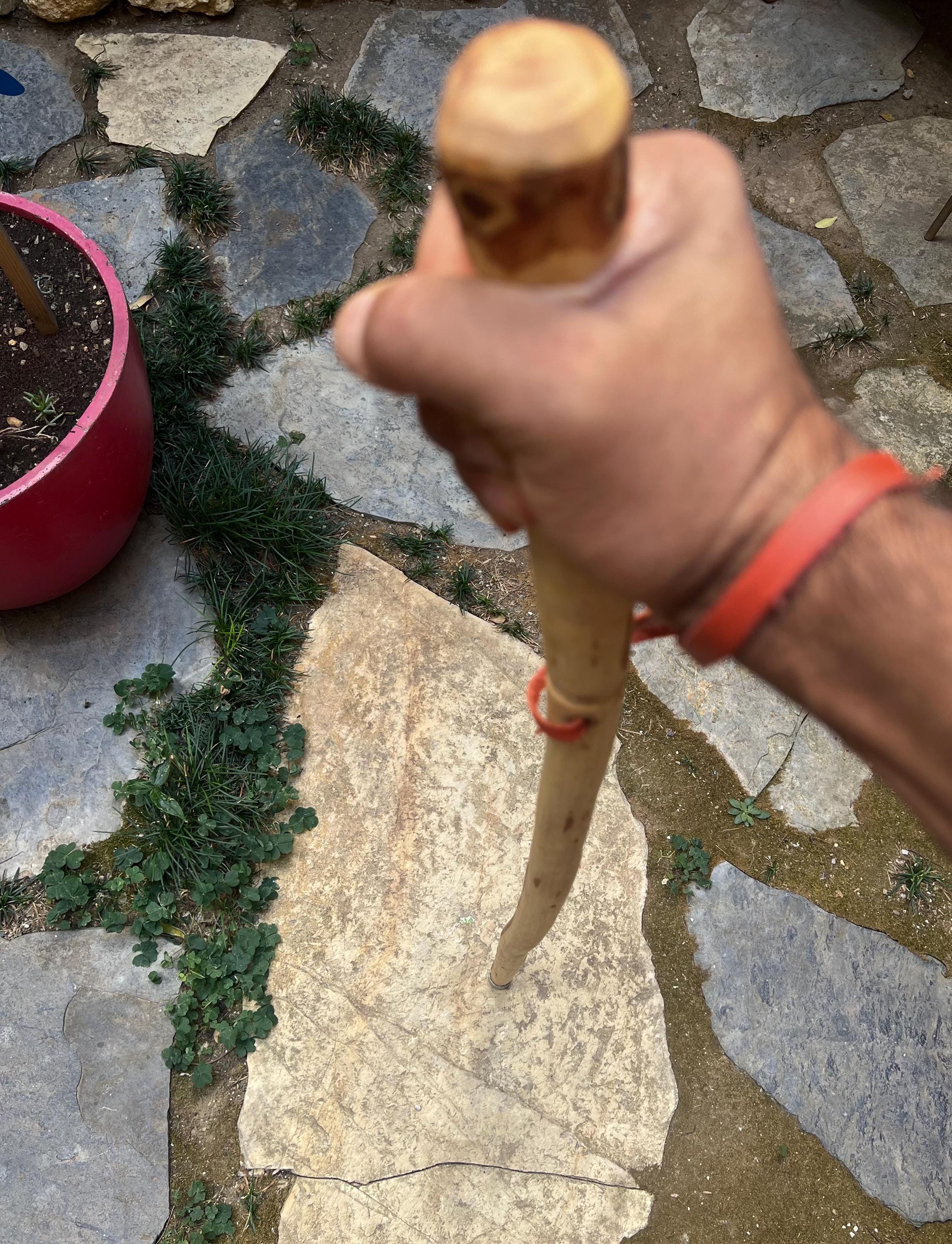 Handcrafted Dogwood Walking Stick: Natural Cranberry Wood Cane - Etsy