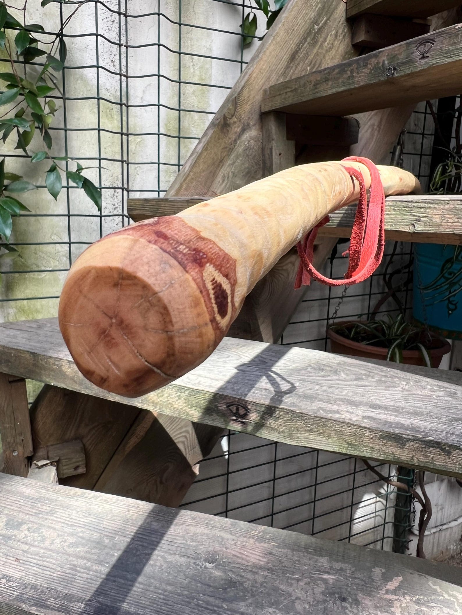 Handcrafted Dogwood Walking Stick: Natural Cranberry Wood Cane - Etsy