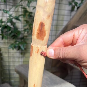 Handcrafted Dogwood Walking Stick: Natural Cranberry Wood Cane - Etsy