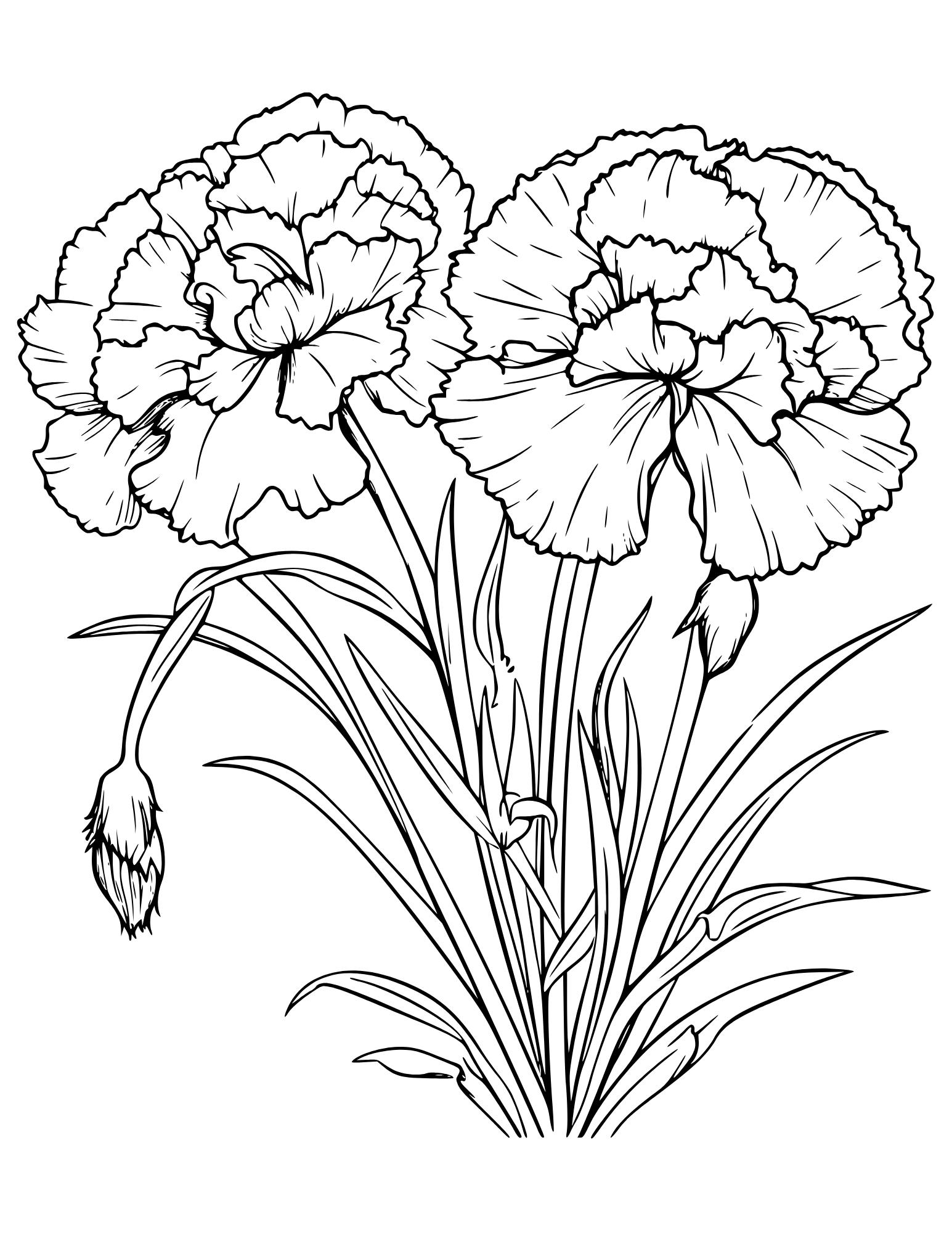 Flower Coloring Pages | Coloring Pages | Floral Theme | Kids Flowers ...