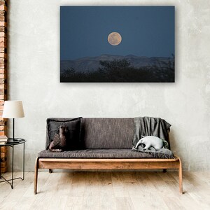 Full Moon Wall Art Photos, Full Moon Decor, Full Moon Canvas, Moon ...