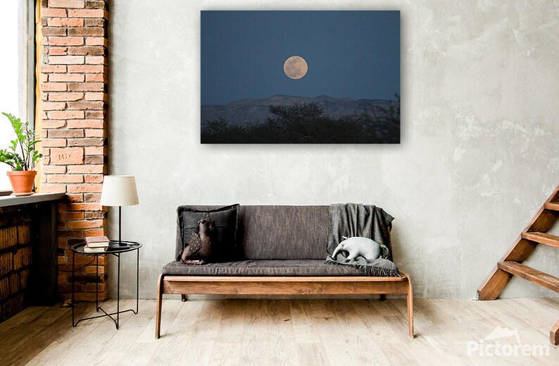 Full Moon Wall Art Photos, Full Moon Decor, Full Moon Canvas, Moon ...