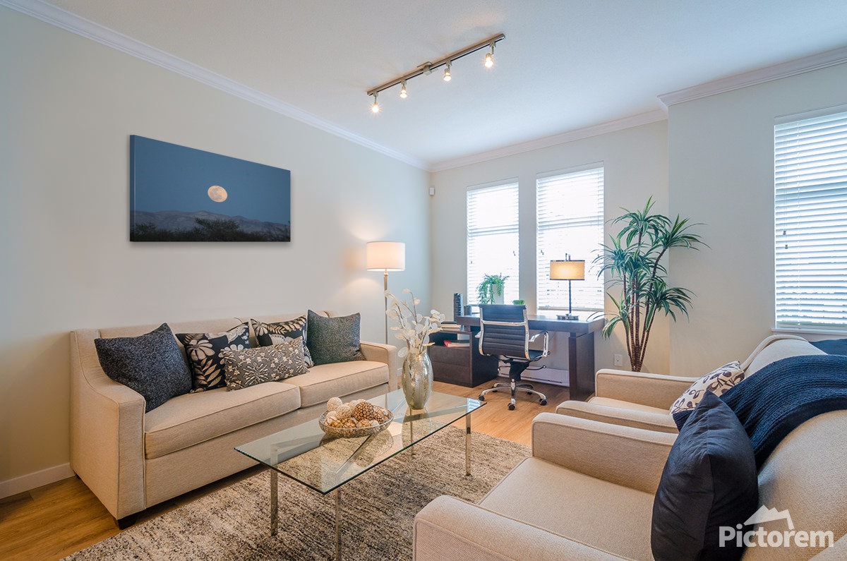 Full Moon Wall Art Photos, Full Moon Decor, Full Moon Canvas, Moon ...