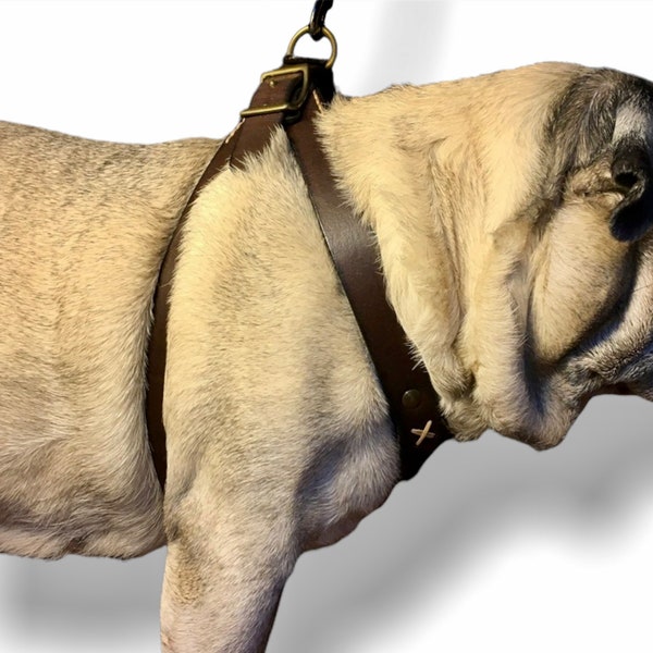 Dog Harness Pattern - Etsy