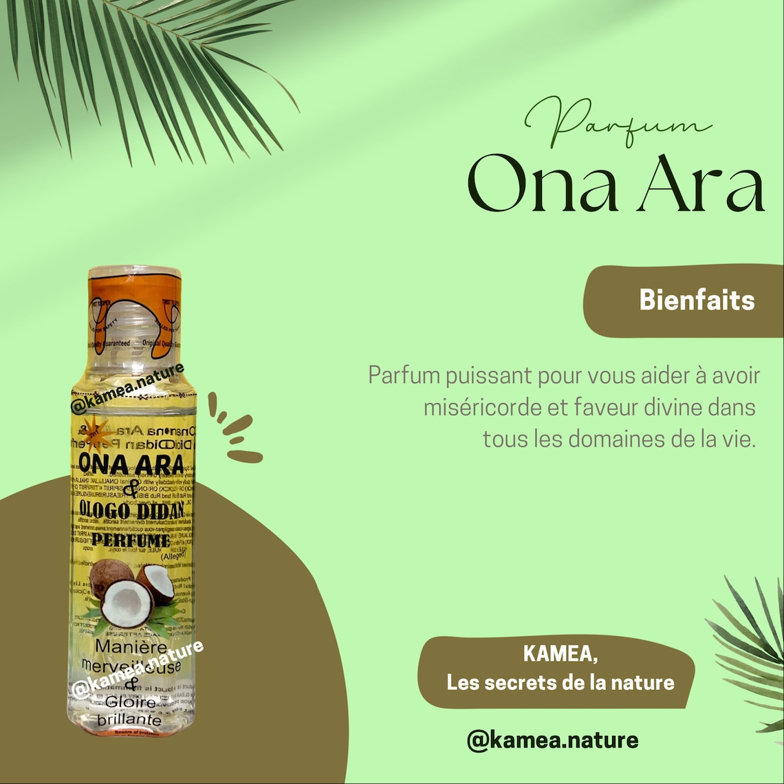 Perfume Ona Ara 50ml - Etsy