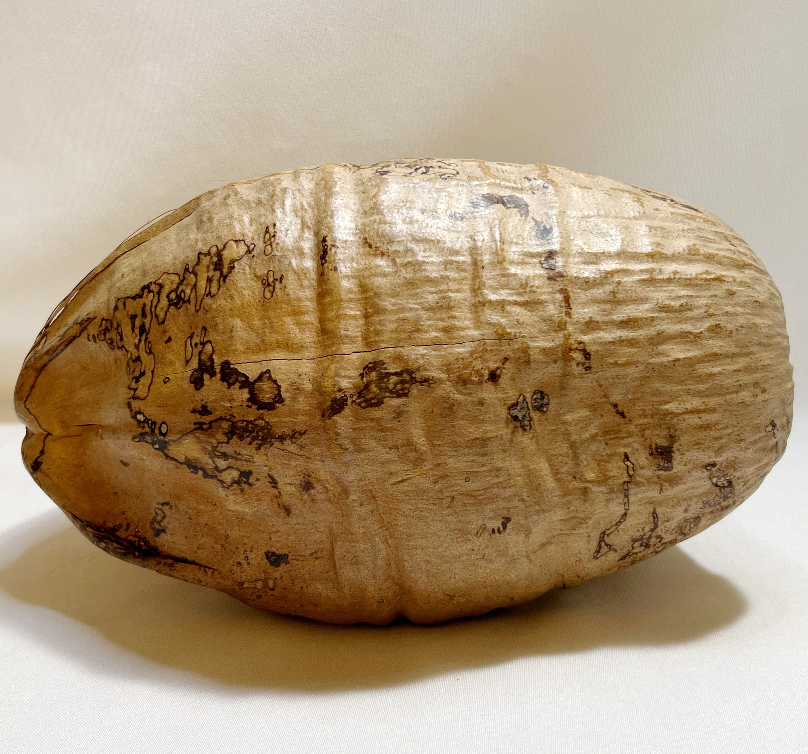 Tropical Nut From St. Lucia With 8 Stamps Circa 1938. British West ...