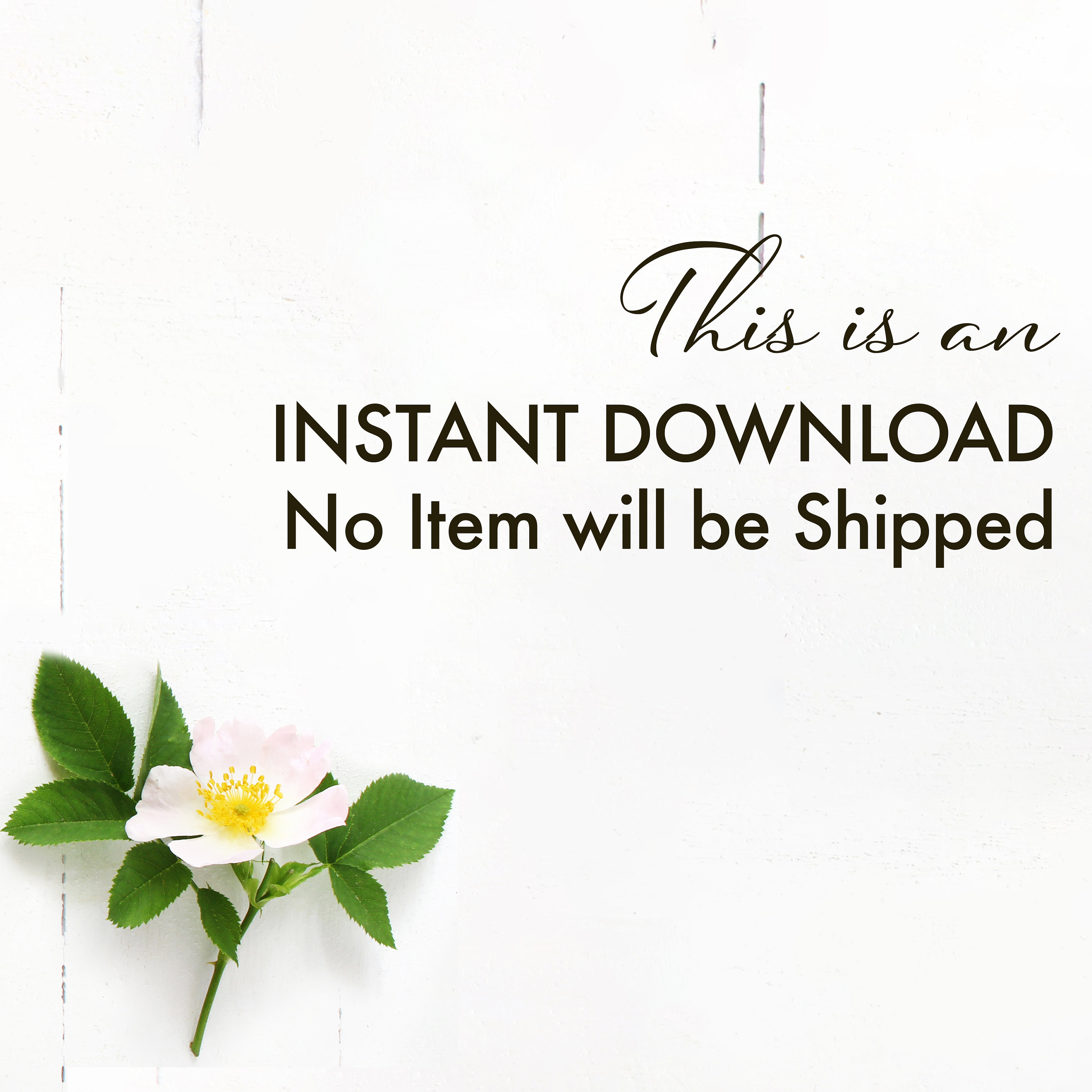 Wifi Sign Minimalist Printable & Editable PDF Wireless Internet Network ...