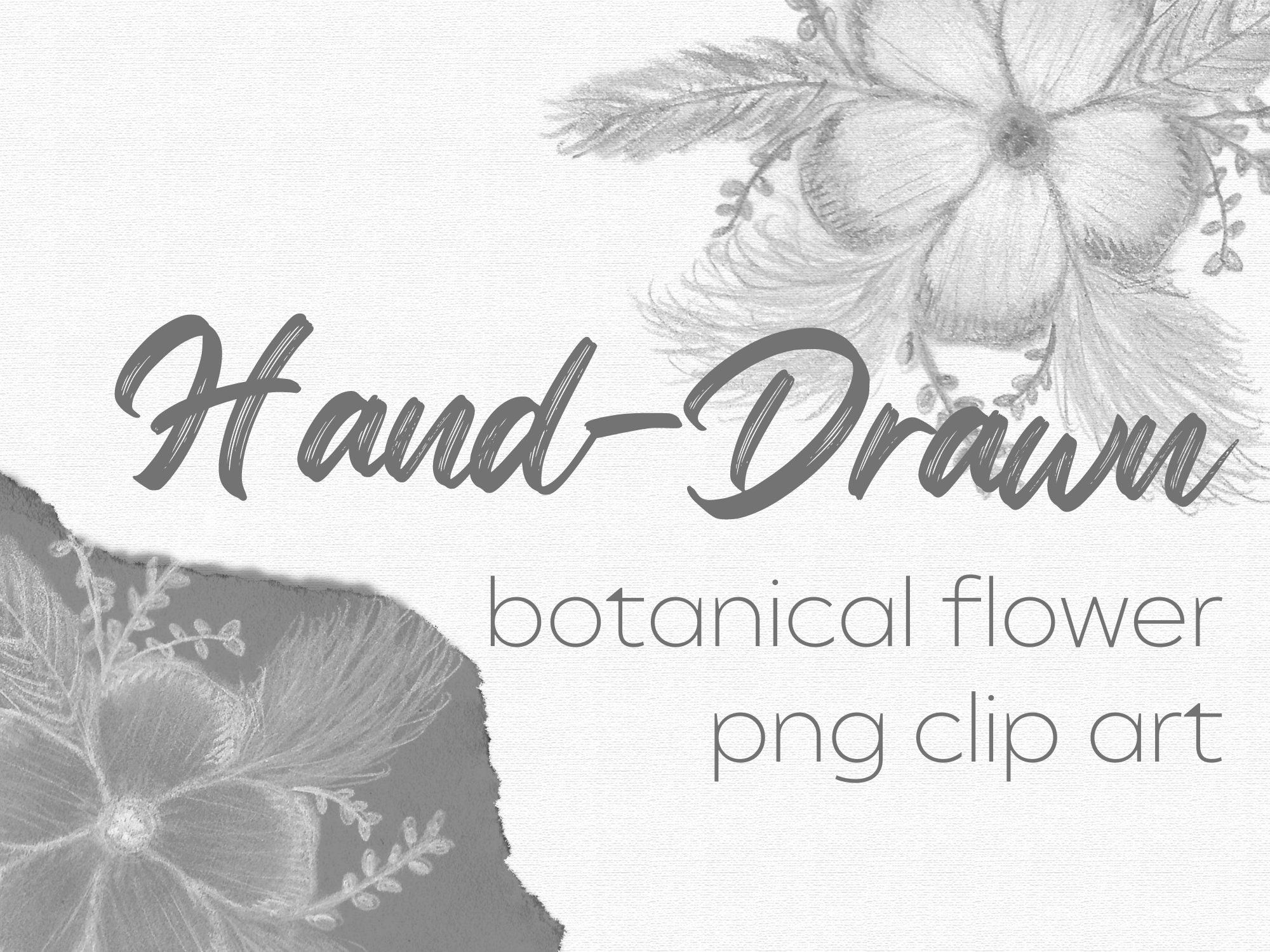 Boho Floral Clipart Hand Drawn Arrangement Bouquet Botanical Flowers ...