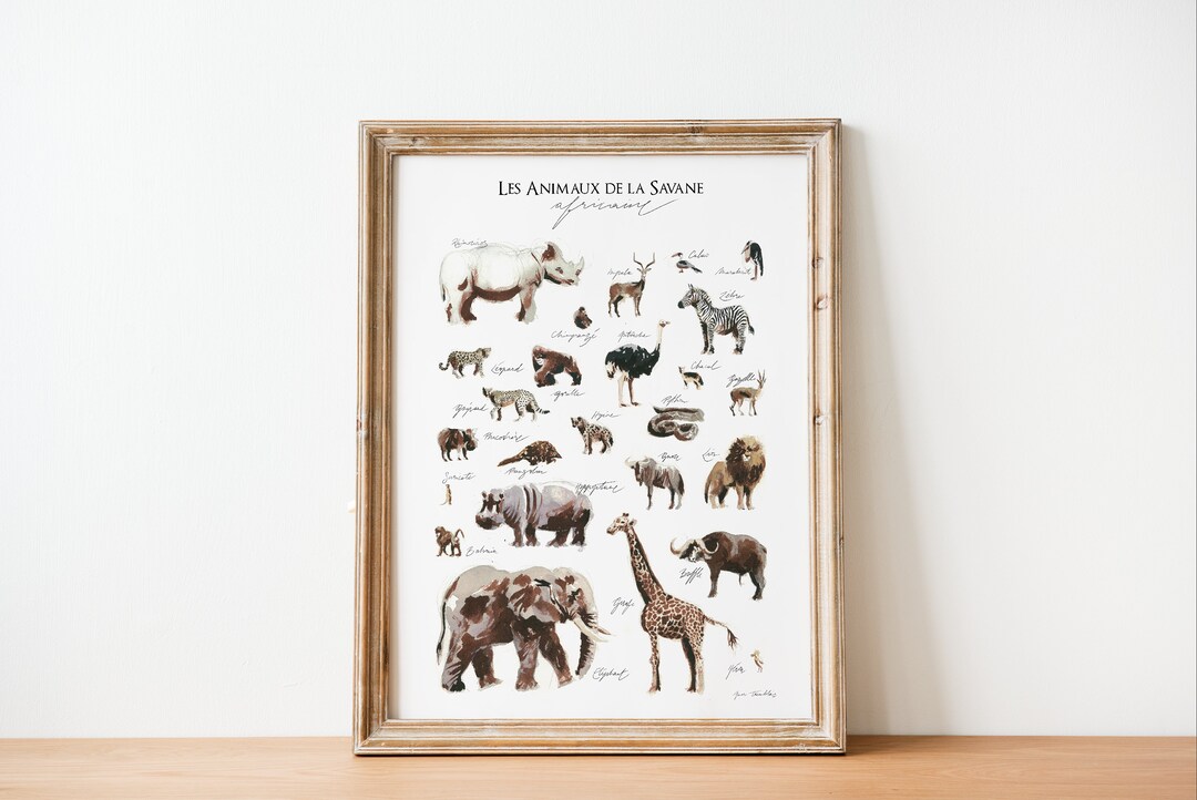 Poster - Animals of the Savannah - Etsy