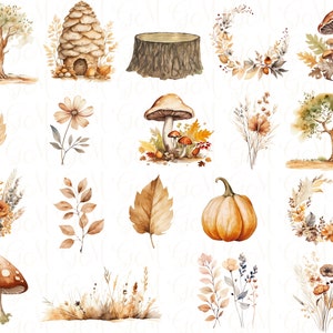 Watercolor Woodland Animal Clipart Fall Watercolor Woodland Animal Png ...