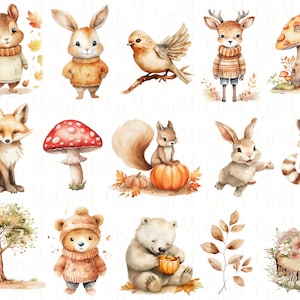 Watercolor Woodland Animal Clipart Fall Watercolor Woodland Animal Png ...