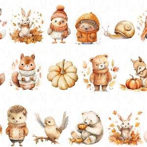 Watercolor Woodland Animal Clipart Fall Watercolor Woodland Animal Png ...