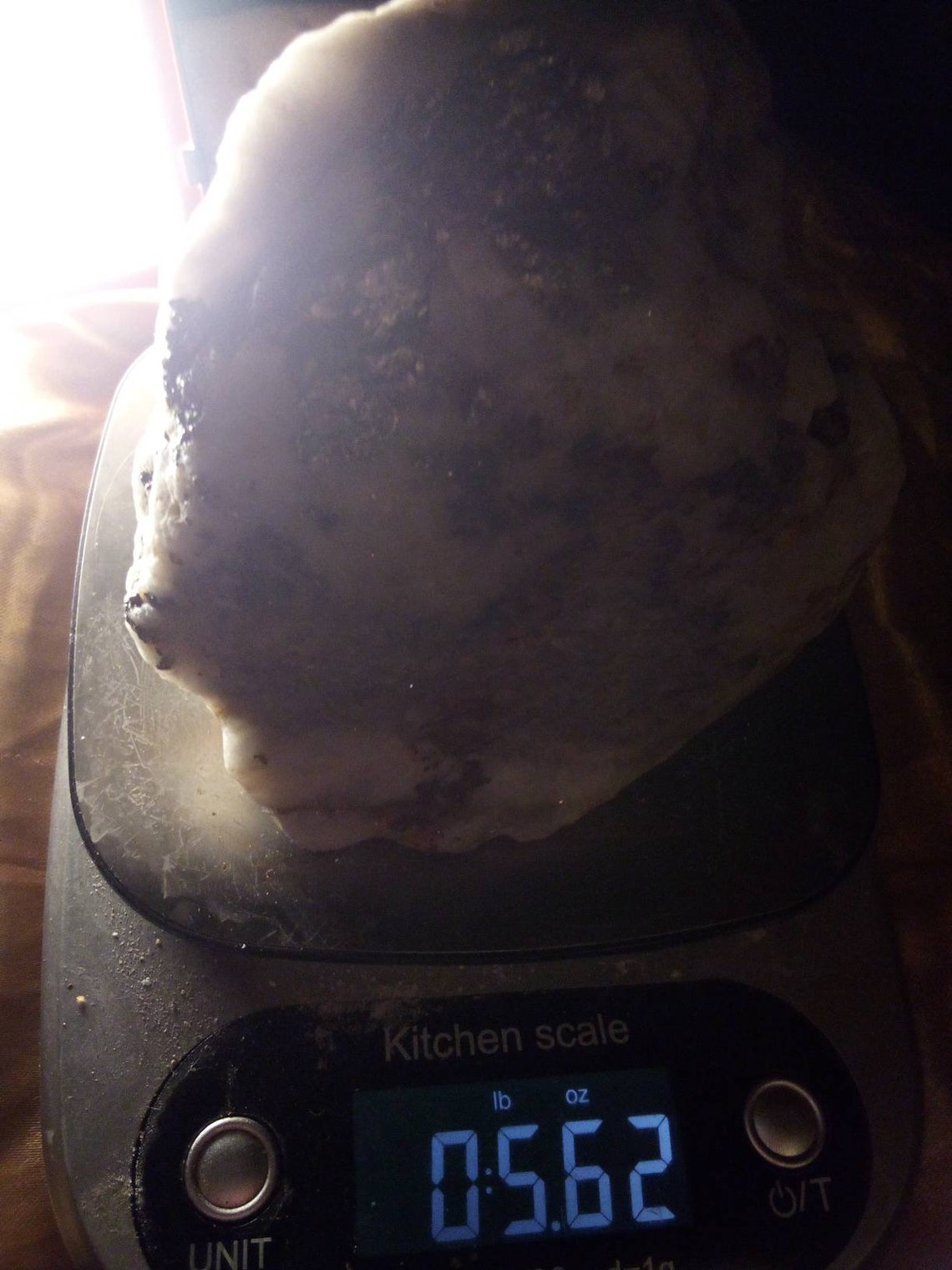 6LB Extremely Rare Blue Gold Quartz Ore Beautiful Surface 22k Gold Blue ...