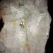 6LB Extremely Rare Blue Gold Quartz Ore Beautiful Surface - Etsy
