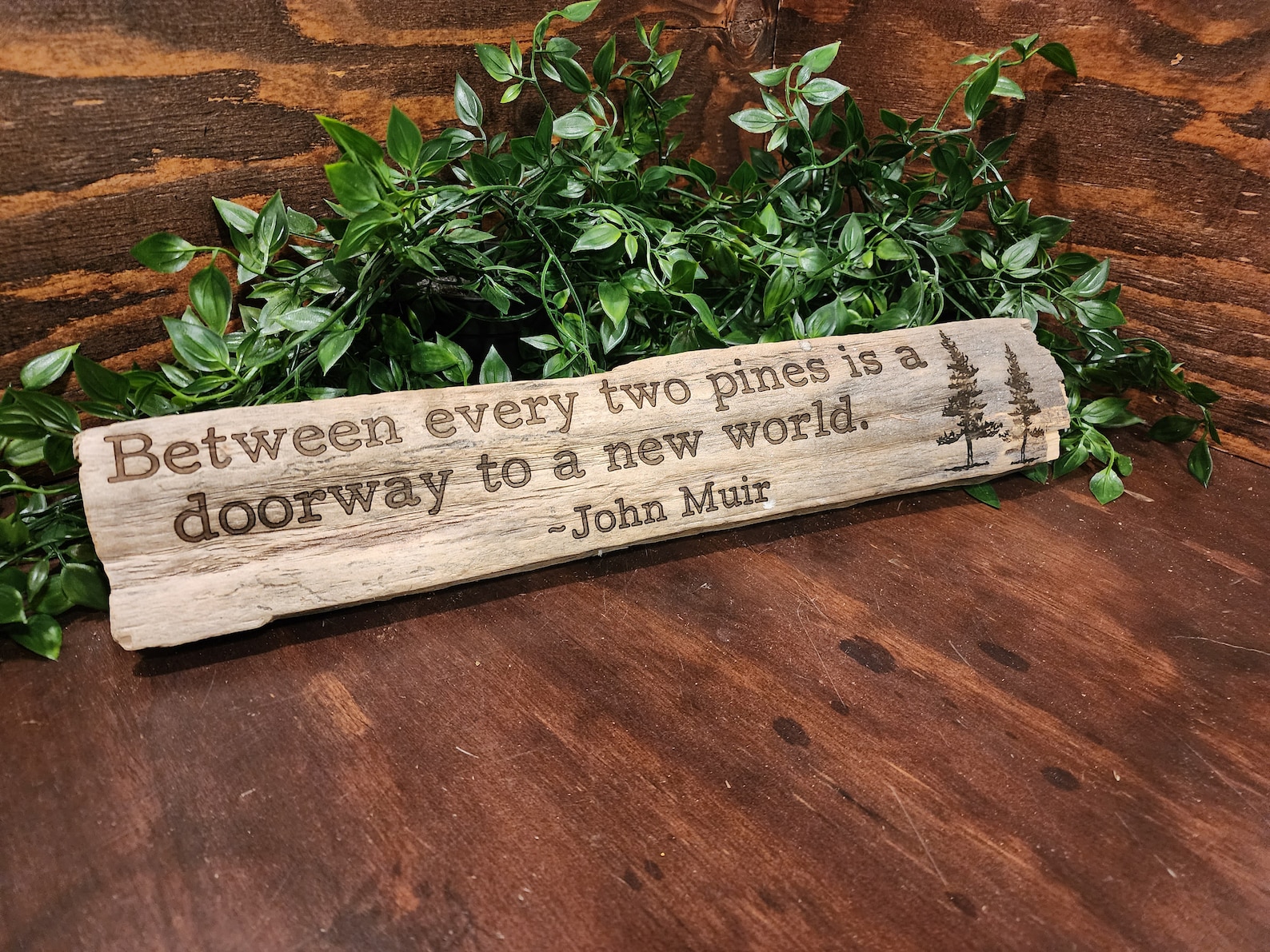 John Muir - Between Every Two Pines is a Doorway to a New World. - Etsy