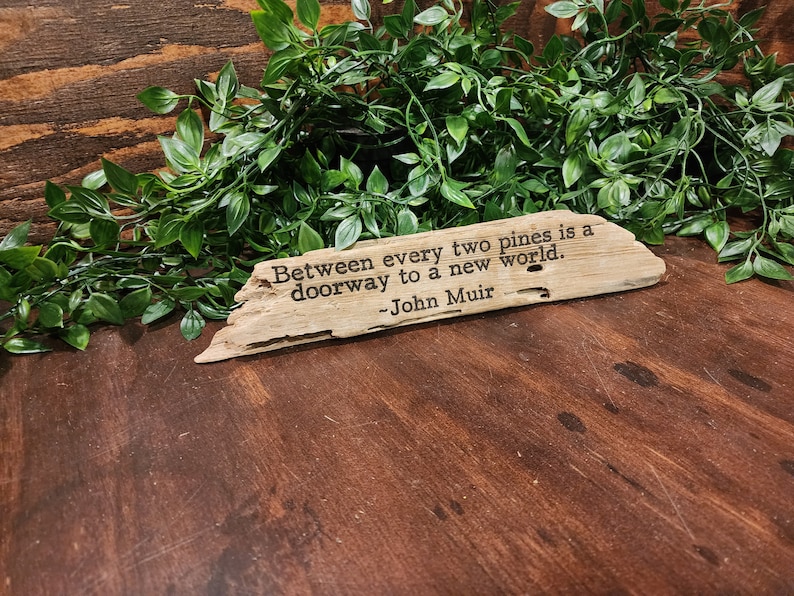 John Muir - Between Every Two Pines is a Doorway to a New World. - Etsy
