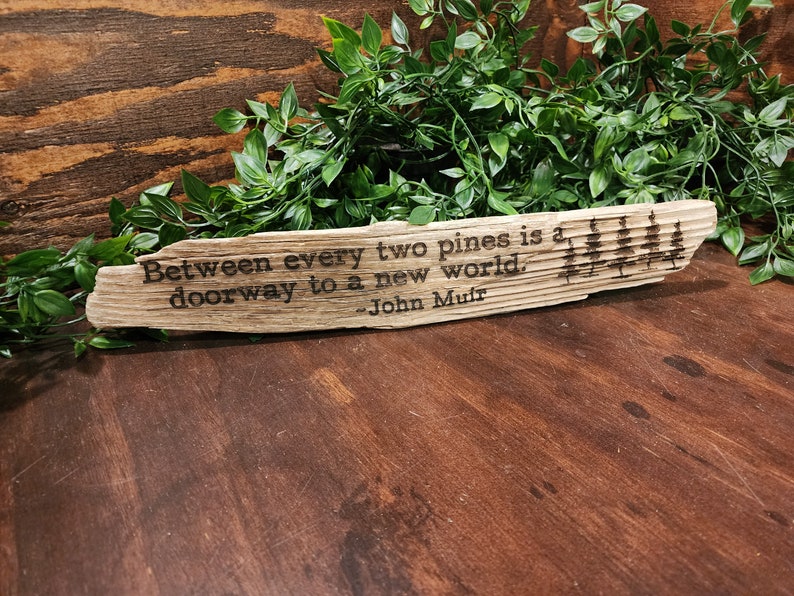 John Muir - Between Every Two Pines is a Doorway to a New World. - Etsy
