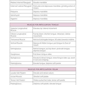 SLP Praxis Study Guide Prep - Etsy