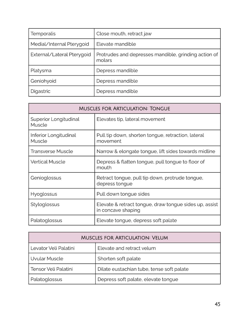 SLP Praxis Study Guide Prep - Etsy