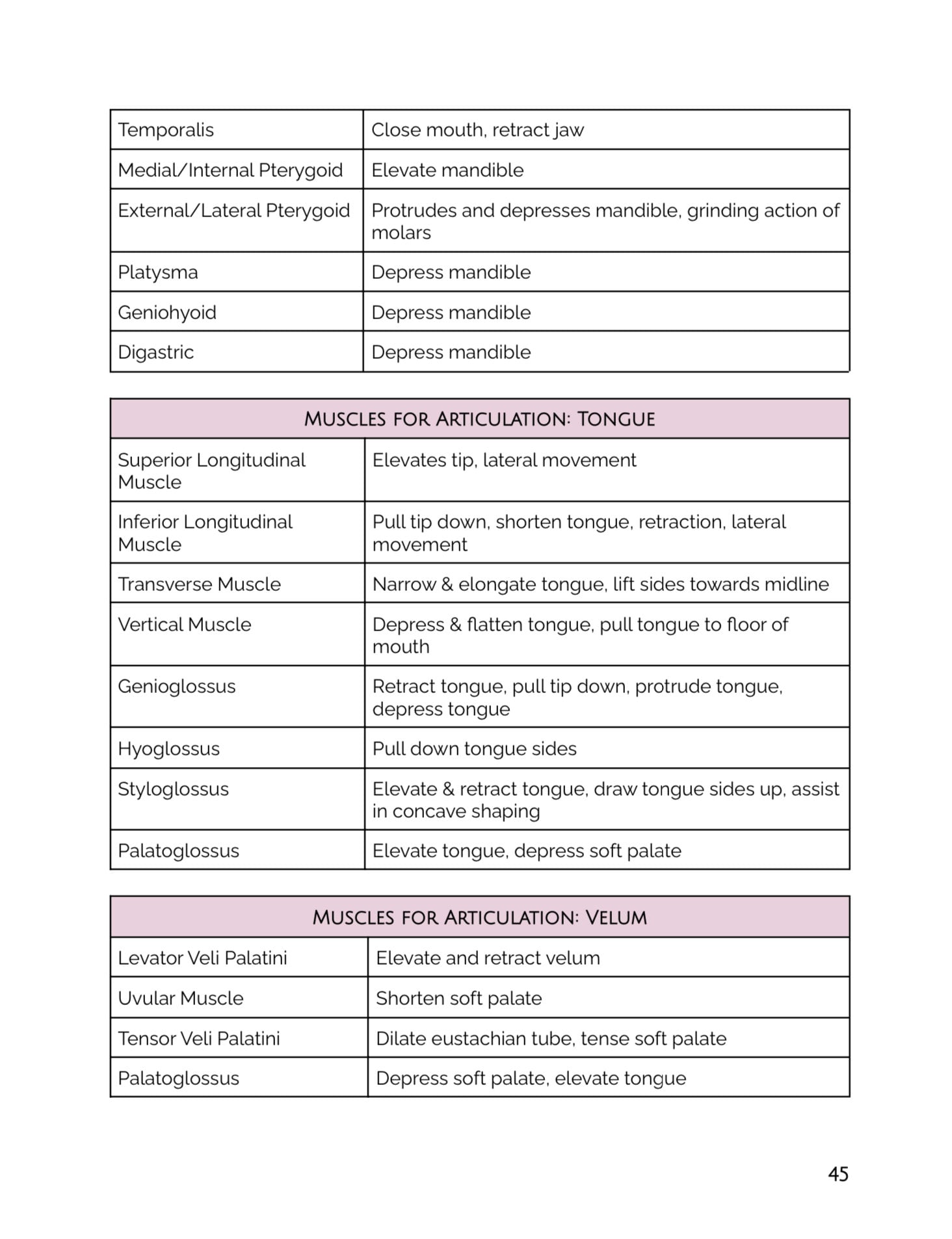 SLP Praxis Study Guide Prep - Etsy