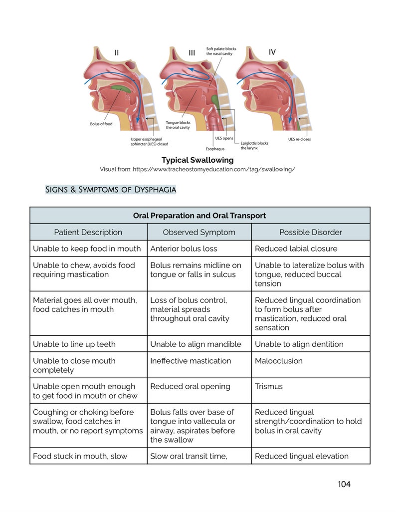 SLP Praxis Study Guide Prep - Etsy